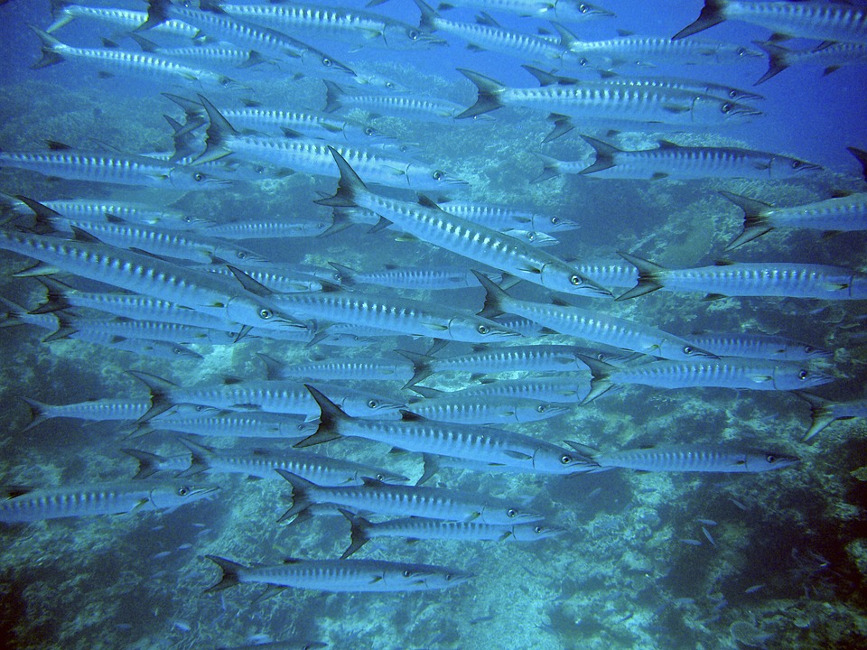 ITOps Times news digest: Barracuda launches Firewall Insights and ... ITOps Times news digest: Barracuda launches Firewall Insights and ...
